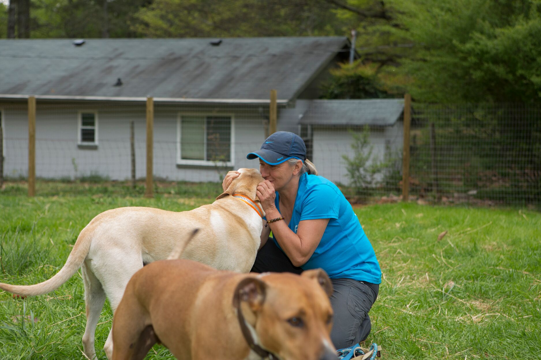 Staff with dogs - CLYDES CAMP
