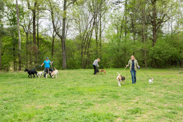 Walk time 3 groups - CLYDES CAMP